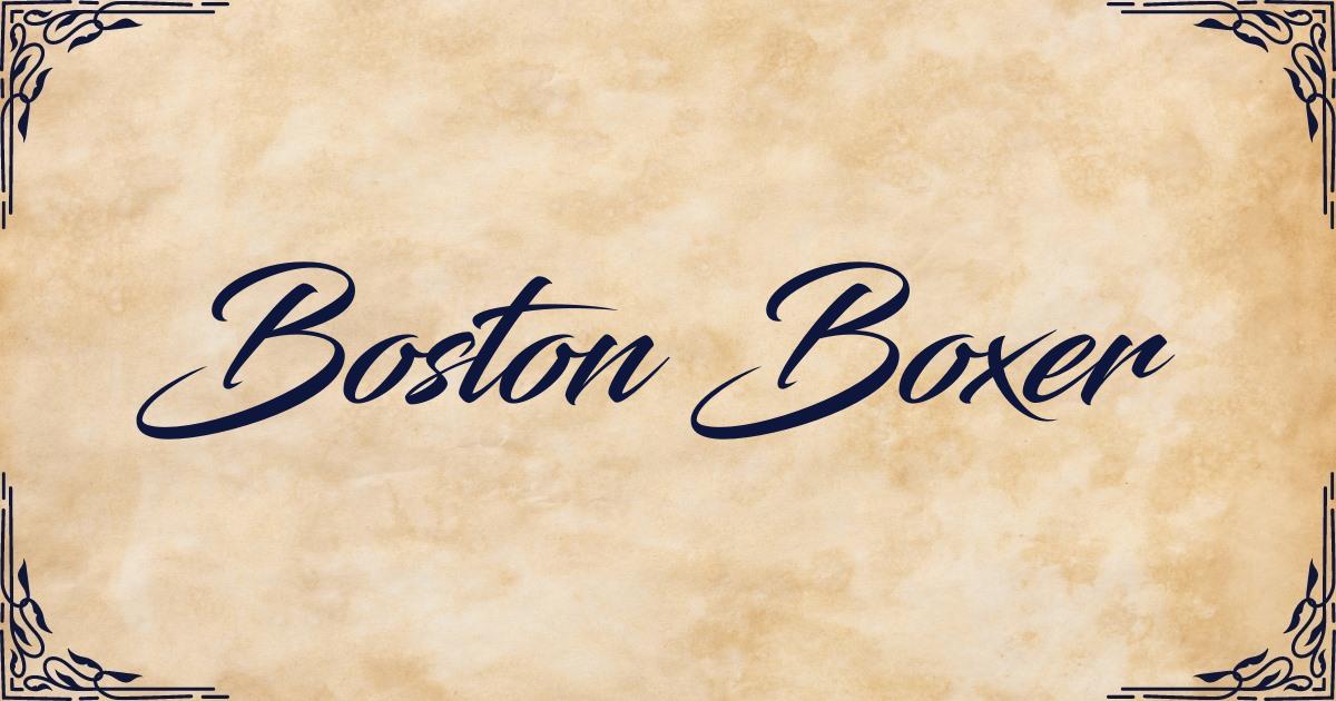 Boston Boxer : Información Completa sobre Características, Cuidado e ...