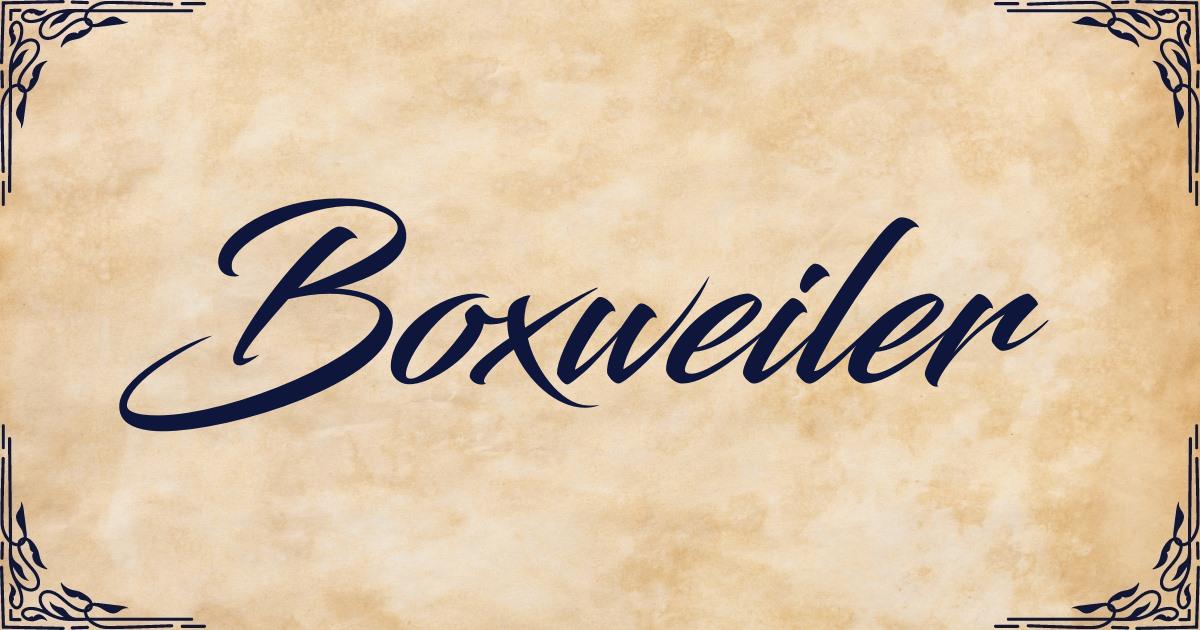 Boxweiler : Información Completa sobre Características, Cuidado e Historia