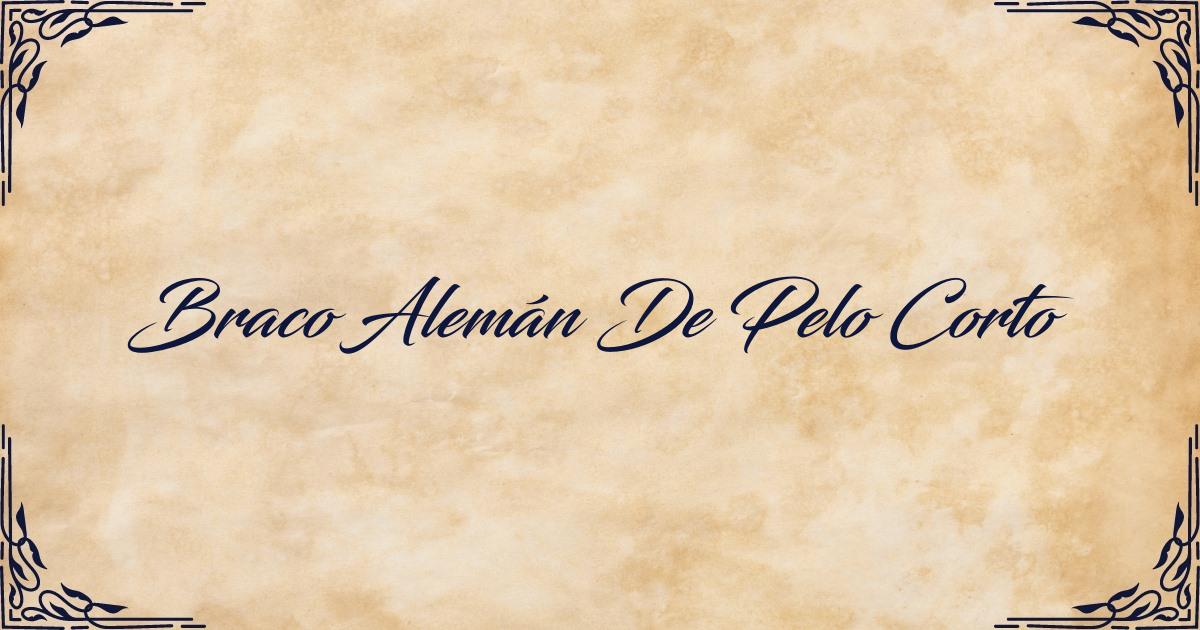 Braco alemán de pelo corto : Información Completa sobre Características ...