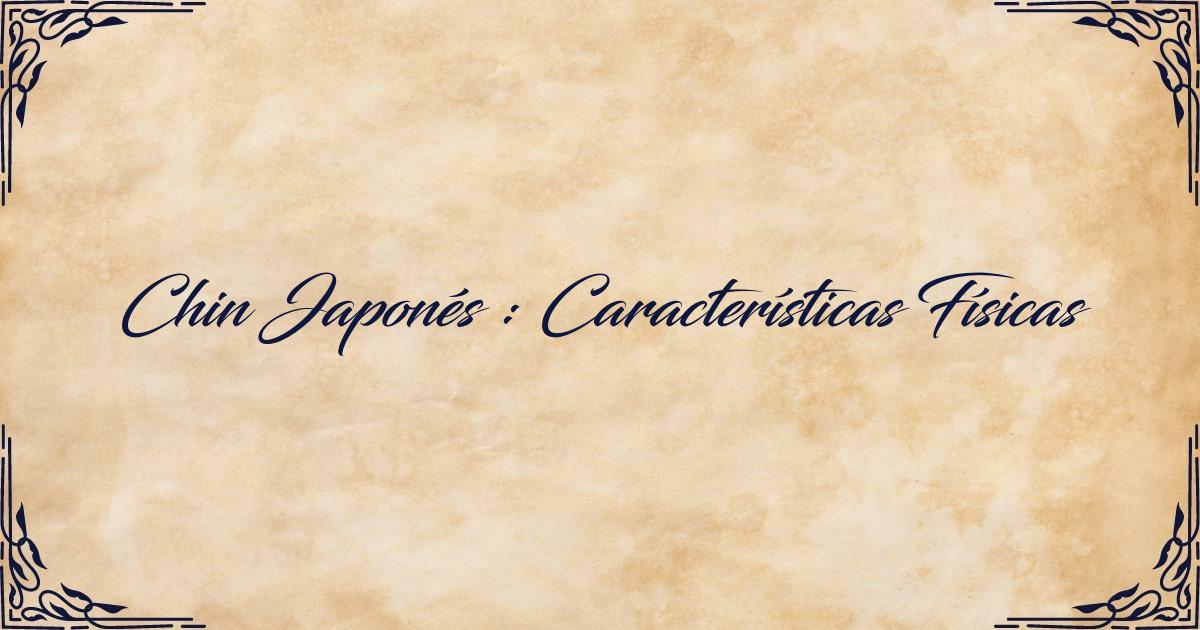 Características físicas de Chin japonés