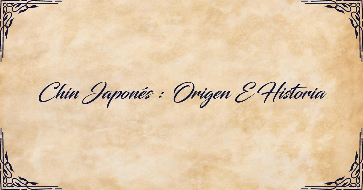Origen e historia de Chin japonés
