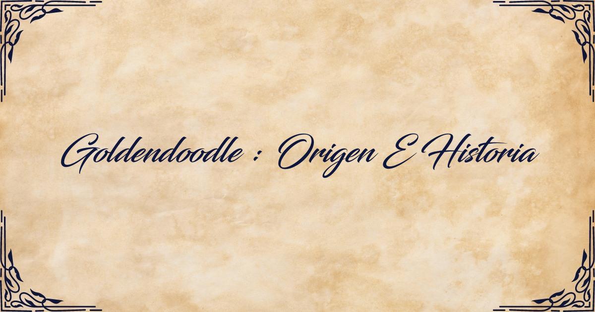 Origen e historia de Goldendoodle
