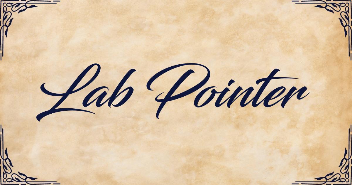 Lab Pointer : Información Completa sobre Características, Cuidado e Historia