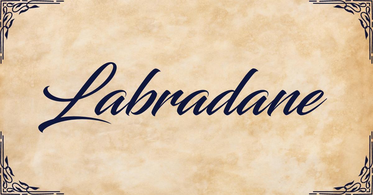 Labradane : Información Completa sobre Características, Cuidado e Historia