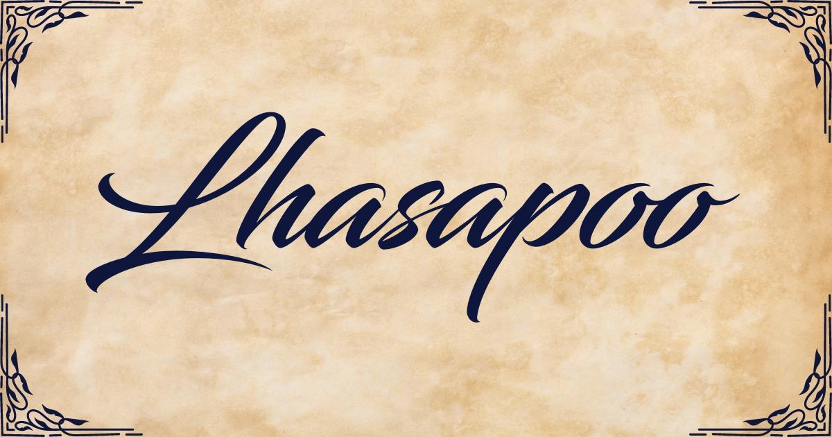 Lhasapoo : Información Completa sobre Características, Cuidado e Historia