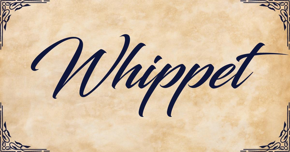 Whippet : Información Completa sobre Características, Cuidado e Historia